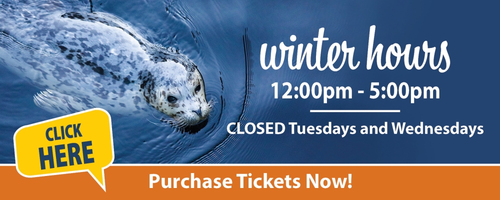 Alaska Sealife Center